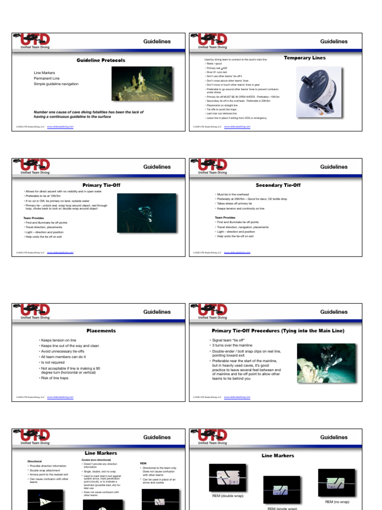 3 UTD Guideline 2020 | PDF