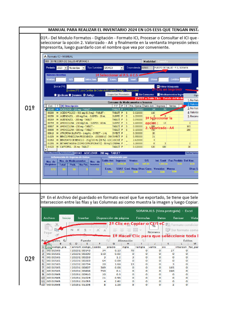 Anexo Nro 2 - Formato de Conteo Fisico para PD de APURIMAC 2024 para Version SISMED 2.3 ...