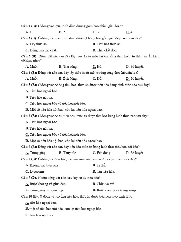 BT Dinh Dư NG | PDF