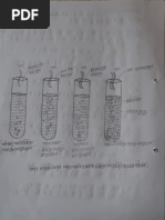 Ruponti 1st Paper Solution | PDF