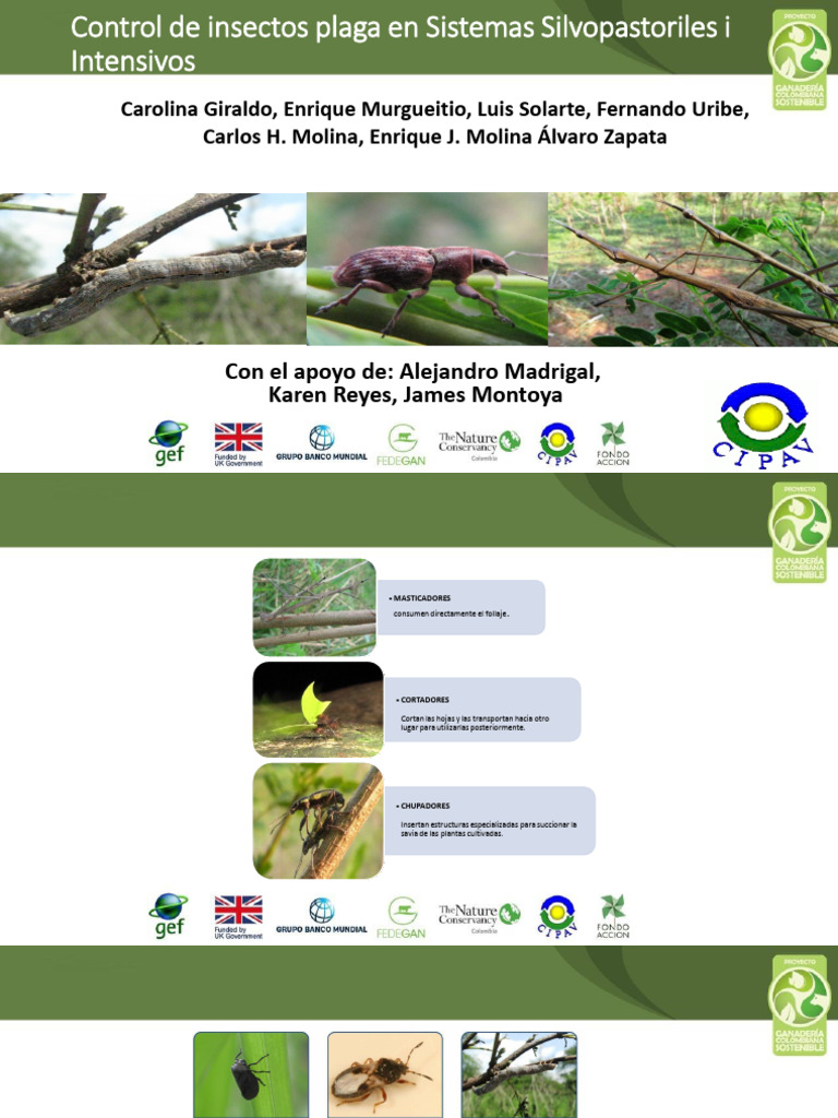 Control Biológico De Plagas Y Enfermedades Pdf