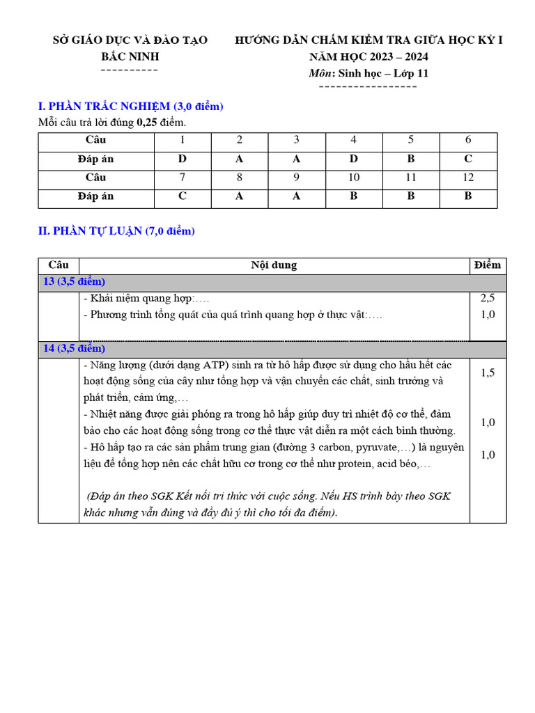 ĐA Sinh Học 11- Giữa HK1. 2023-2024 | PDF