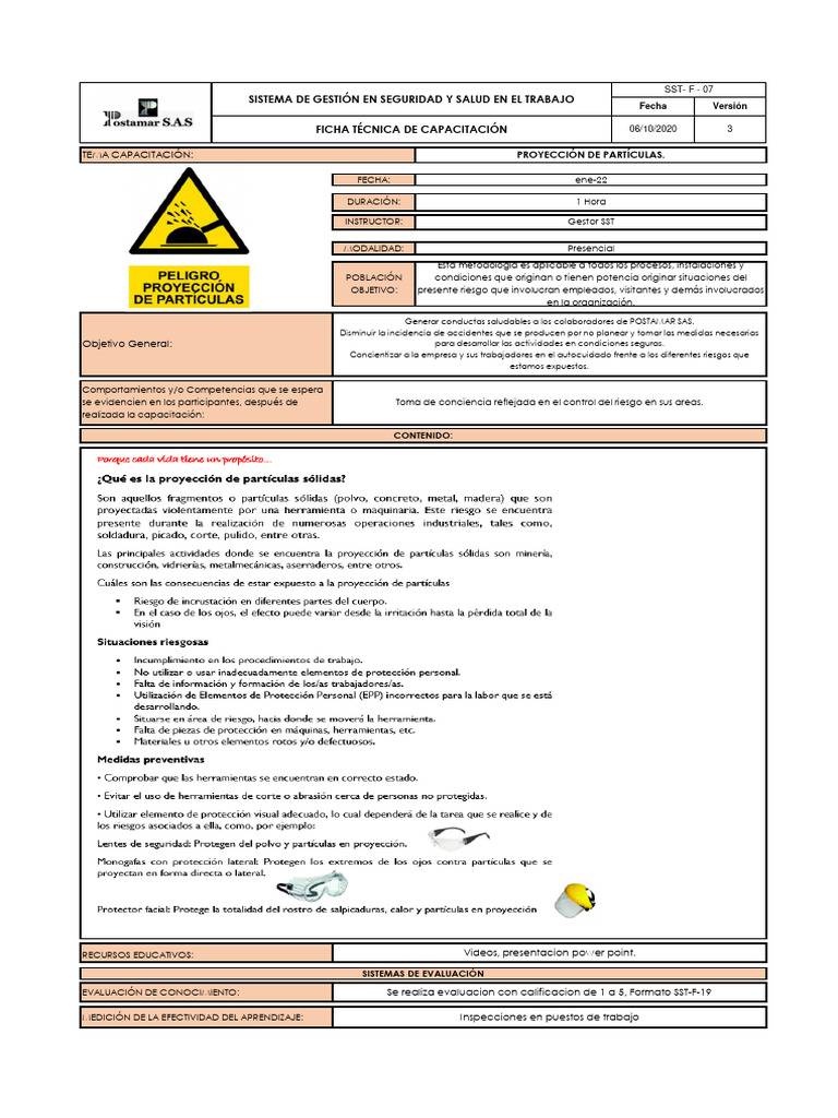 SST-F-26 Ficha Tecnica de Capacitacion Proyeccion de Particul | PDF ...
