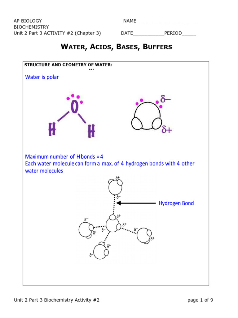 Water acids & bases | PDF | Water | Hydroxide