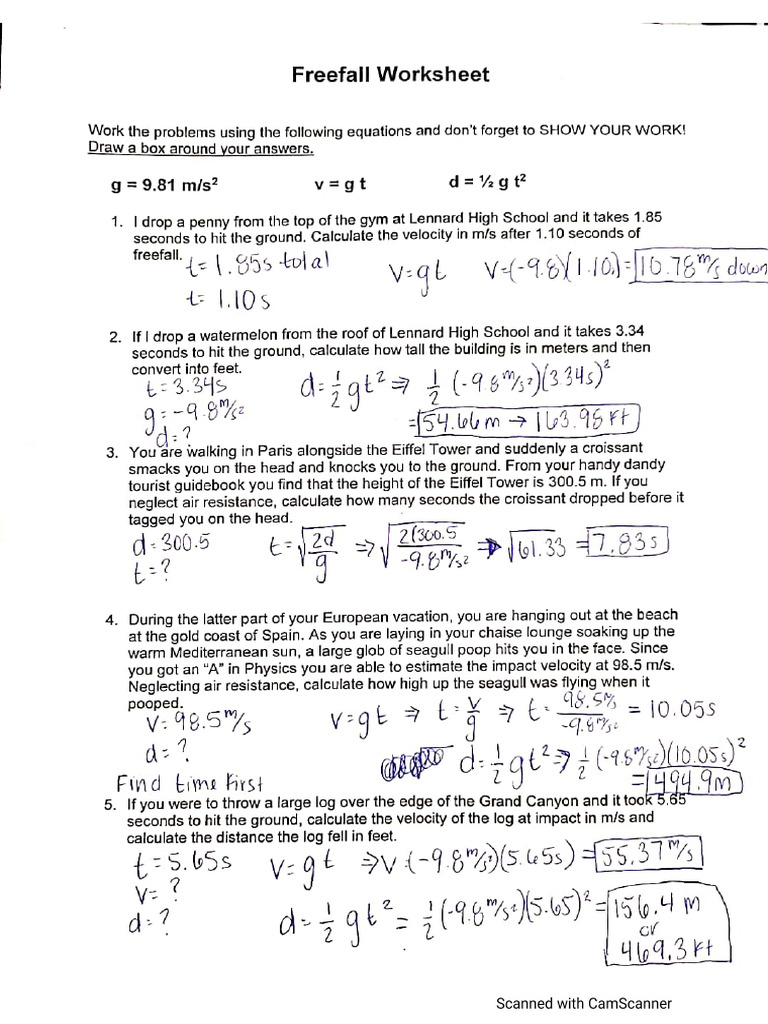 Freefallworksheet1 1 | PDF