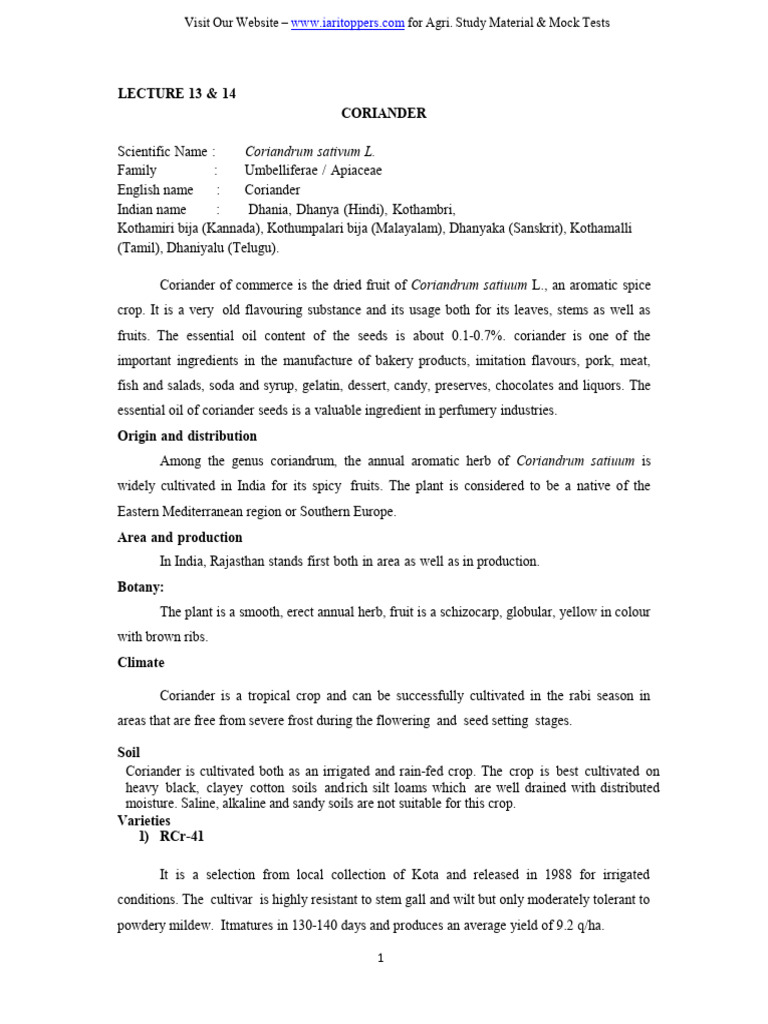 Cultivation of Coriander | PDF | Coriander | Sowing