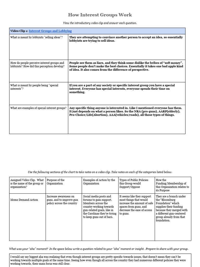 How Interest Groups Work | PDF