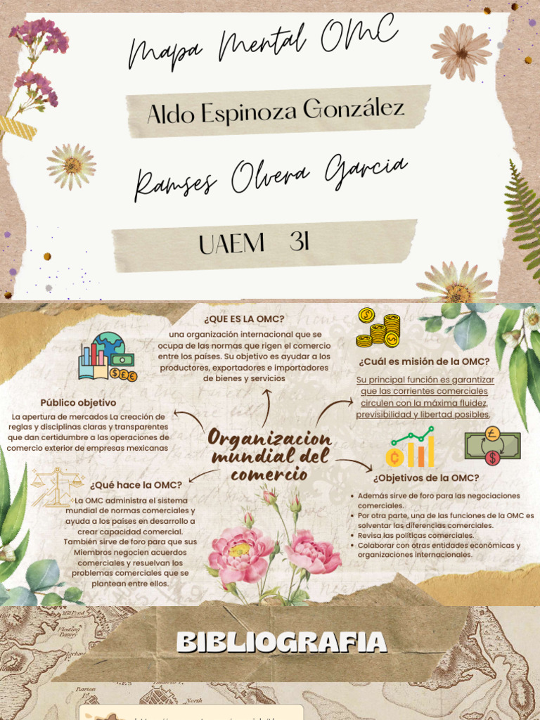 Mapa Mental de la OMC | PDF | Organización de Comercio Mundial | Negocios Internacionales