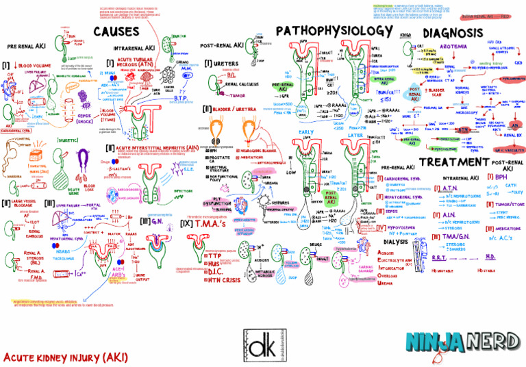 Renal Pathology) 07 Acute Kidney Injury (AKI) - Key | PDF | Kidney ...