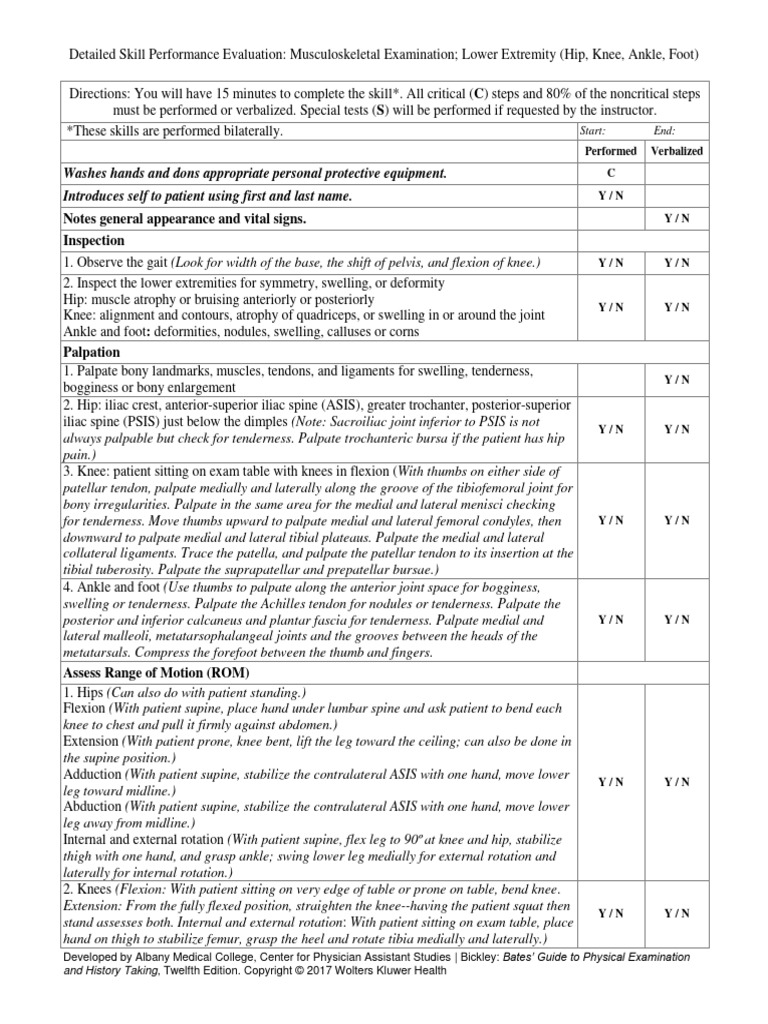 Lower Extremity Detailed Skill Sheet Pdf Knee Anatomical Terms Of