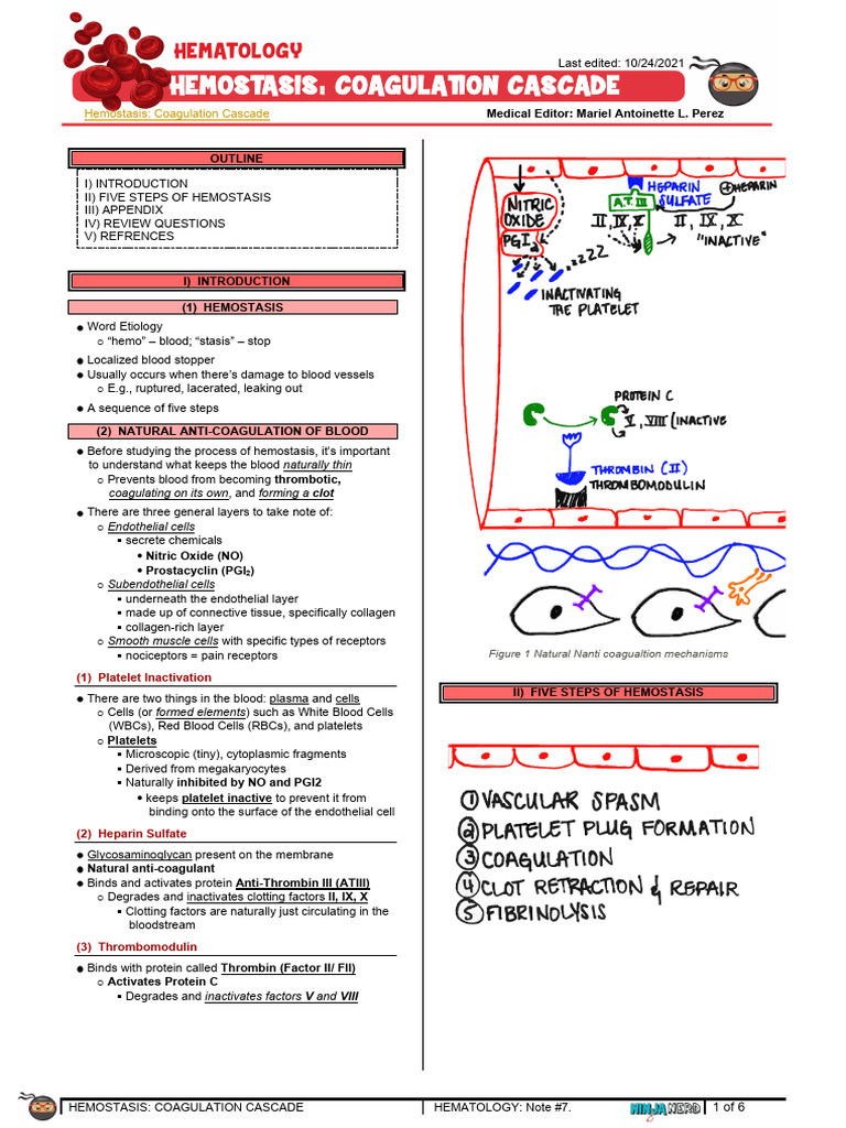 347 - Hematology Physiology) Hemostasis Coagulation Cascade | PDF | Coagulation | Platelet
