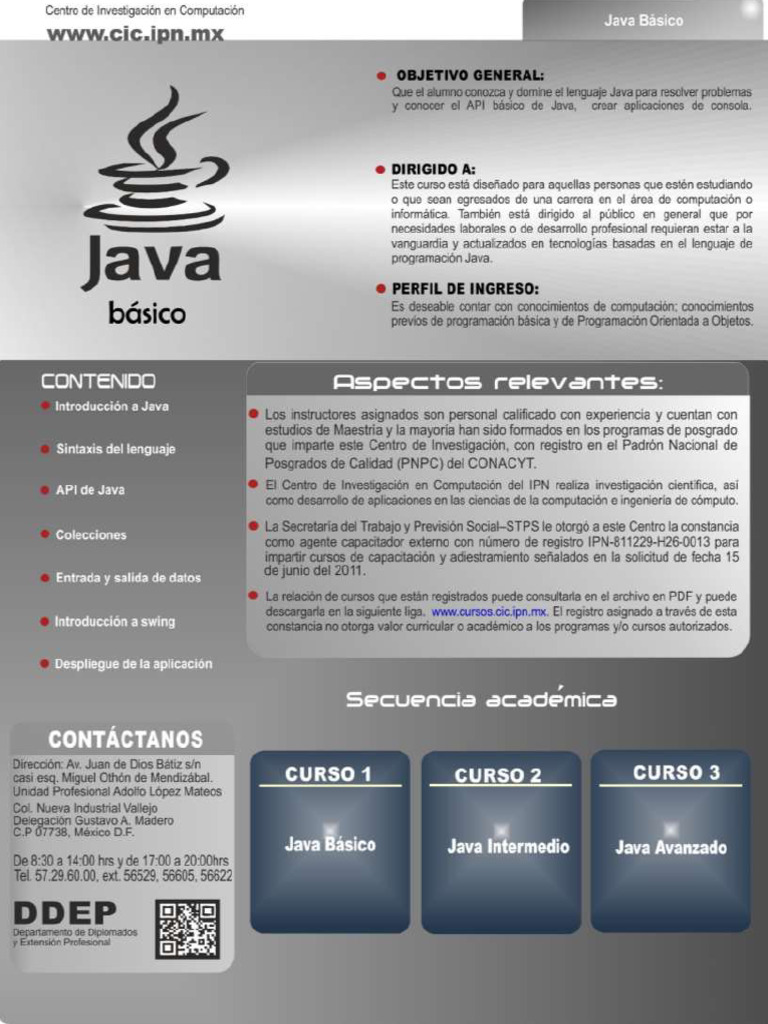 Java Básico | PDF | Java (lenguaje de programación) | Tecnologías de la información