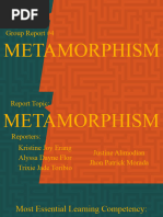 Dynamic Metamorphism | PDF | Rock (Geology) | Fault (Geology)