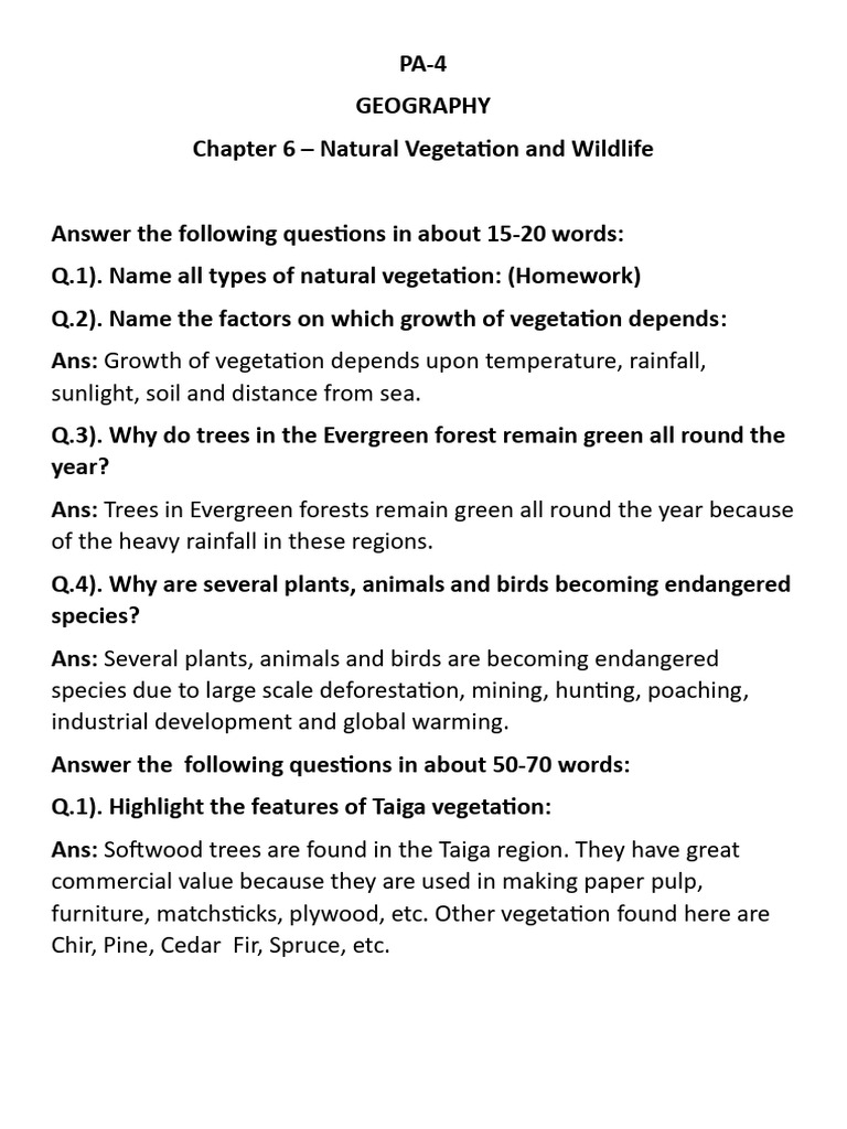 Geography: Natural Vegetation Basics | PDF | Forests | Trees