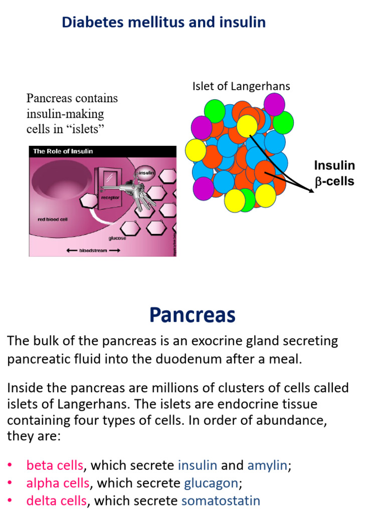 Diabetes Mellitus & Insulin + Case Report | PDF