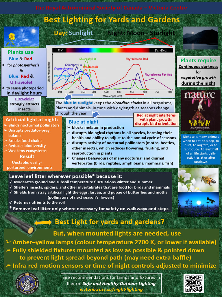RASC Lighting Outline Guide | PDF
