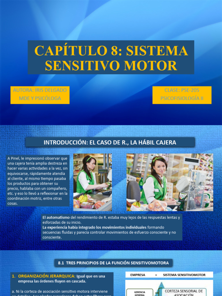 CAPÍTULO 8_SISTEMA SENSITIVO MOTOR | PDF | Músculo esquelético | Corteza cerebral