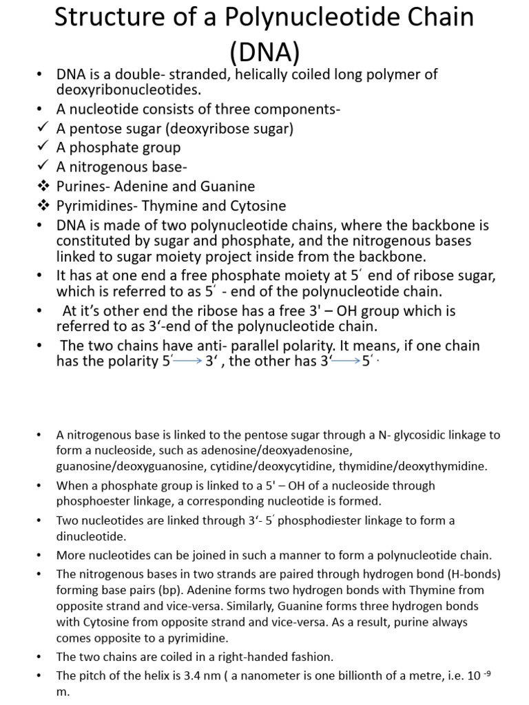 CH - 6 Molecular Basis of Inheritance | PDF | Translation (Biology ...