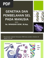Struktur DNA Basa Nitrogen | PDF