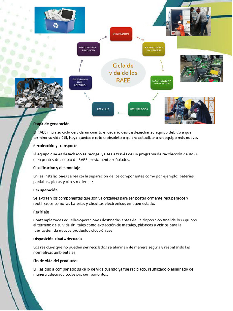 Ciclo de Vida Raee | PDF