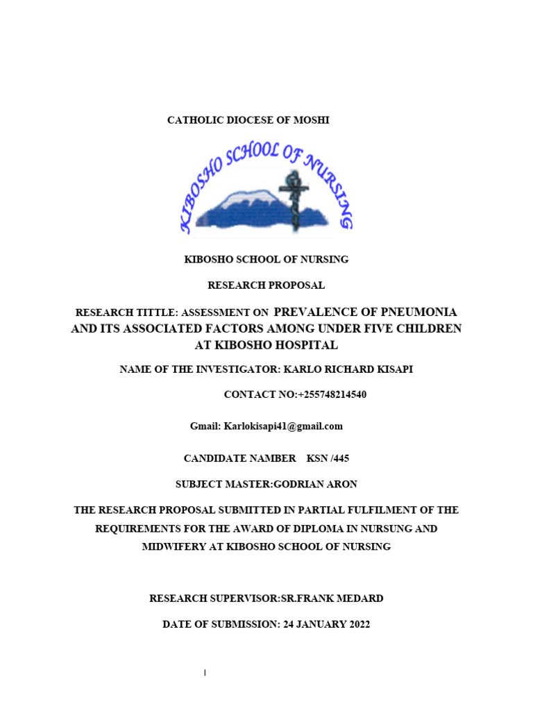 Kisapi Proposal | PDF