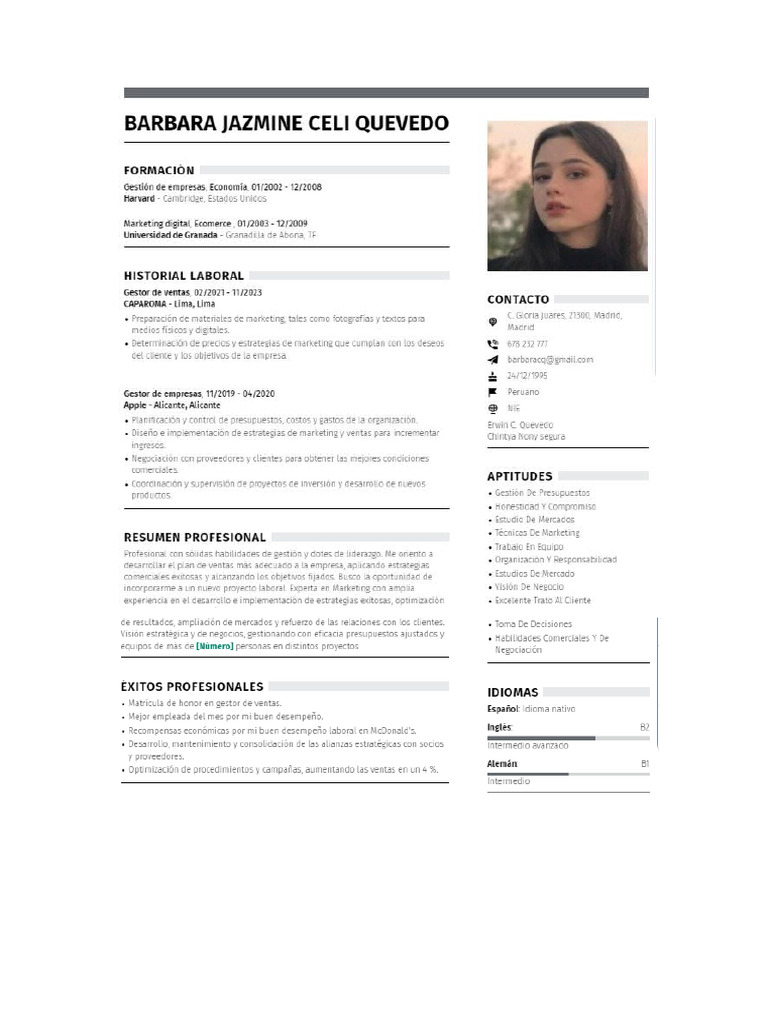 Currículum Empresariales Ejemplo | PDF