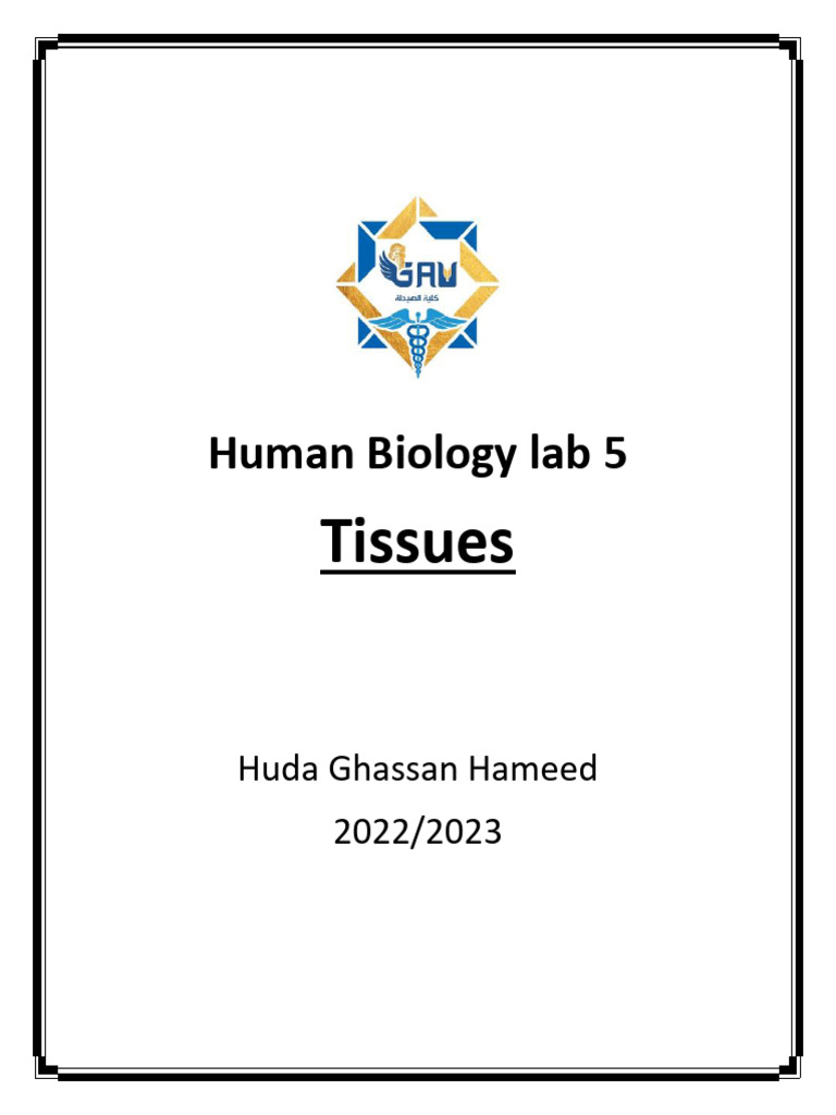 Human Biology Lab 5 Tissues | PDF | Epithelium | Tissue (Biology)