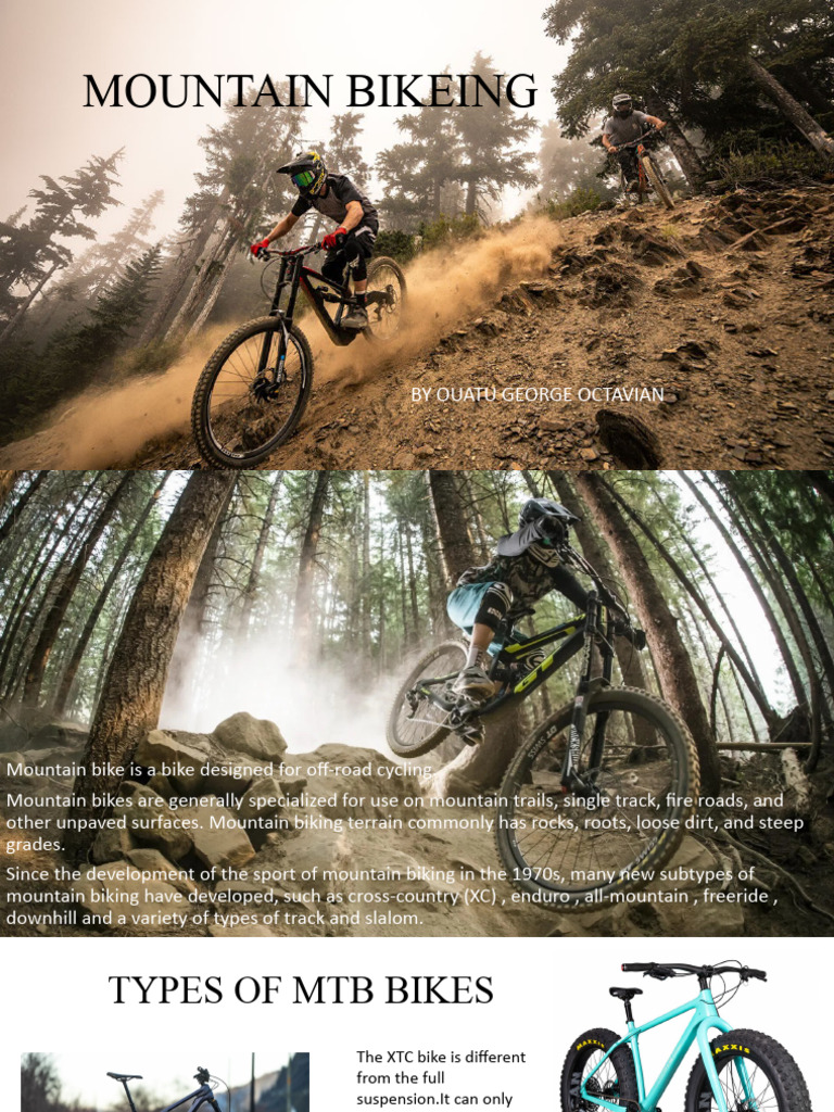 Proiect Mtb | PDF