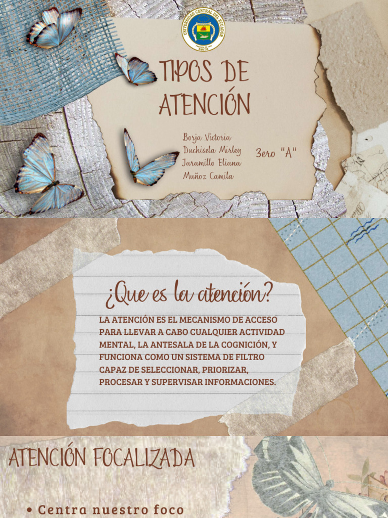 U2T4 TIPOS DE ATENCIÓN - BORJA - DUCHISELA - JARAMILLO - MUÑOZ - Compressed | PDF | Atención ...