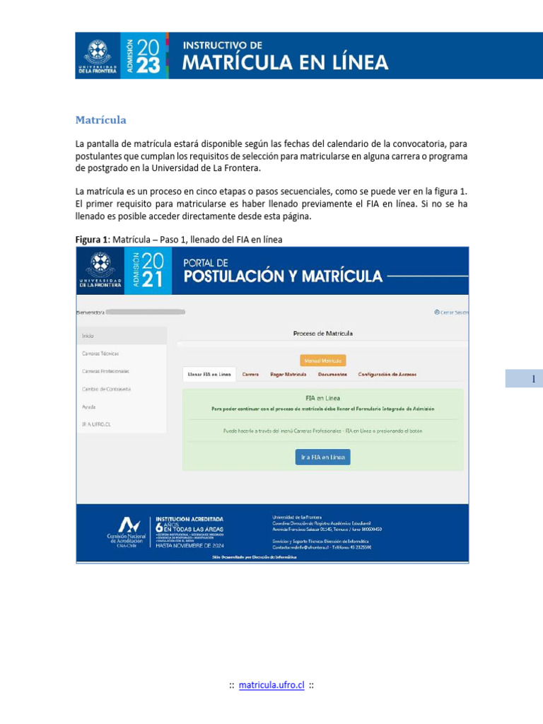 Instructivo Matricula en Linea | PDF | Informática