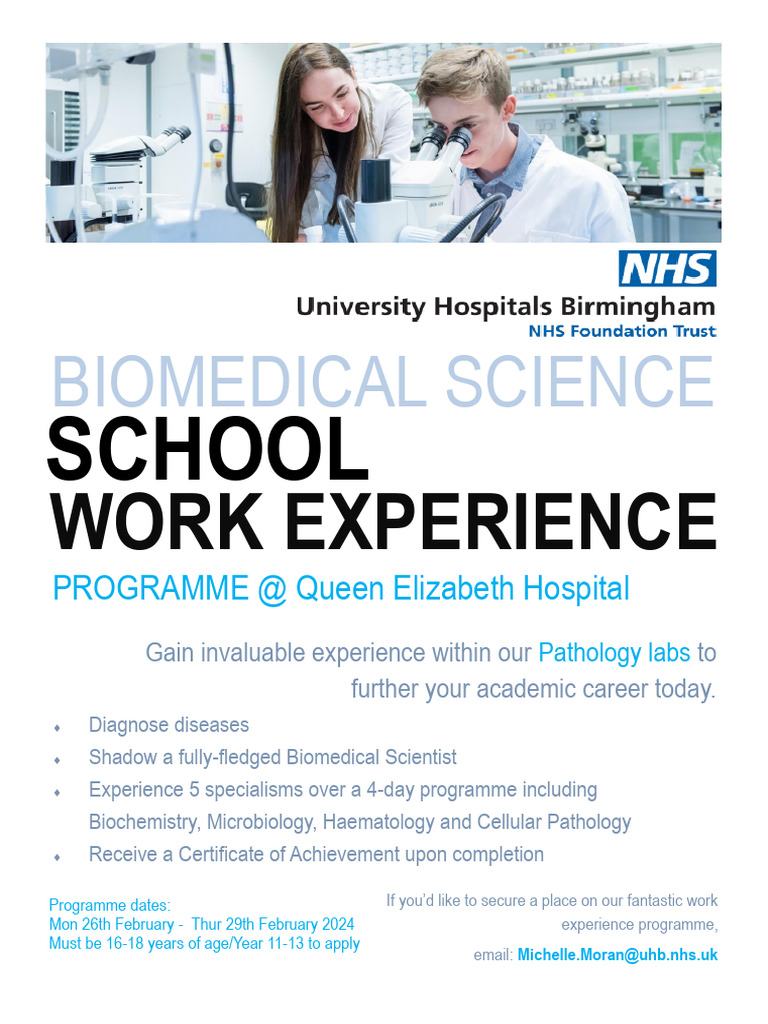 WORK EXPERIENCE POSTER - PUBLISHER Editable | PDF