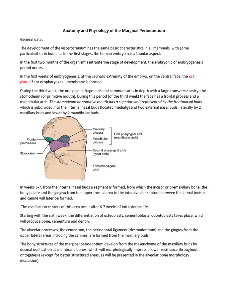 1. Anatomy and Physiology of the Marginal Periodontium | PDF | Human ...