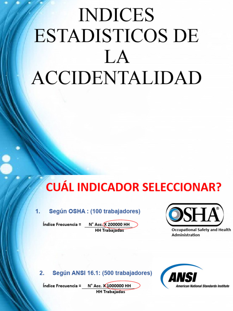 14 Indices de Accidentabilidad | PDF