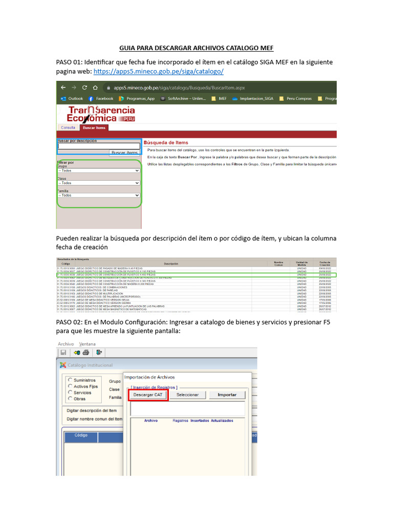 Guia para Descargar Archivos Catalogo Mef | PDF