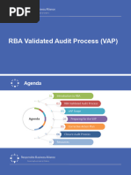 RBA Auditor Guide Book | PDF | Audit | Auditor's Report