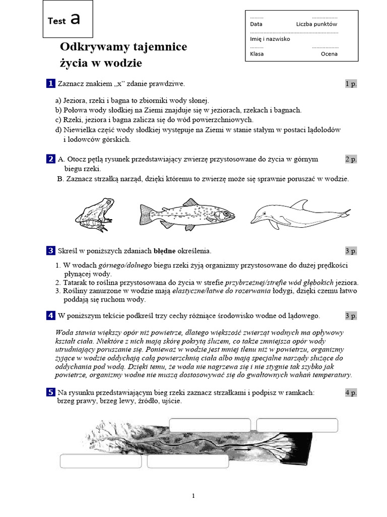 Tp4-Npp-Zycie W Wodzie Wersja A | PDF