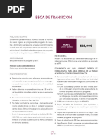 Lineamientos Beifi | PDF