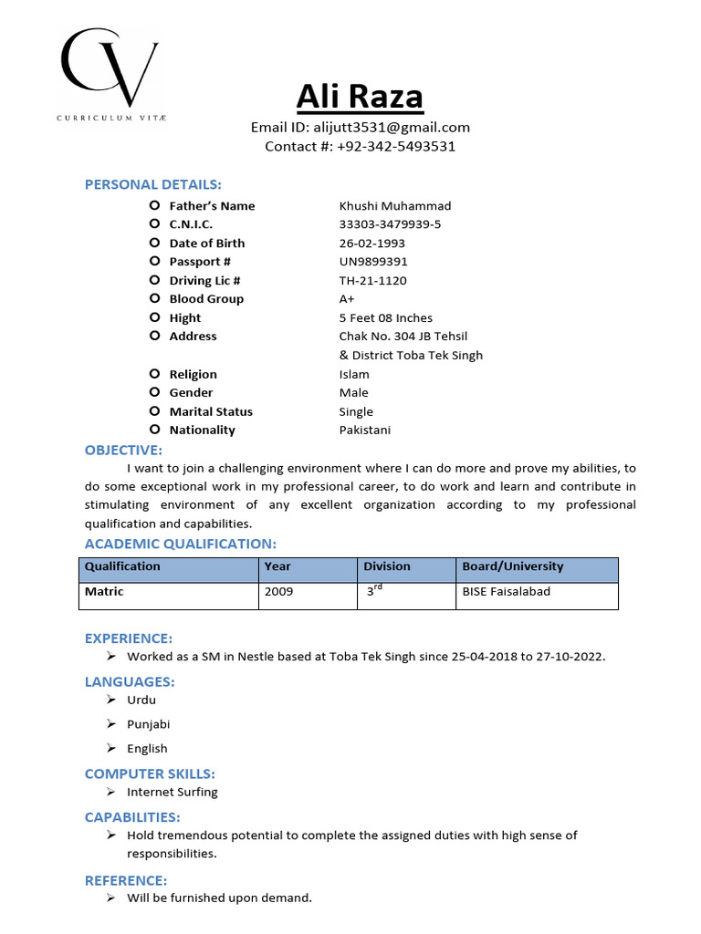 Ali Raza CV | PDF