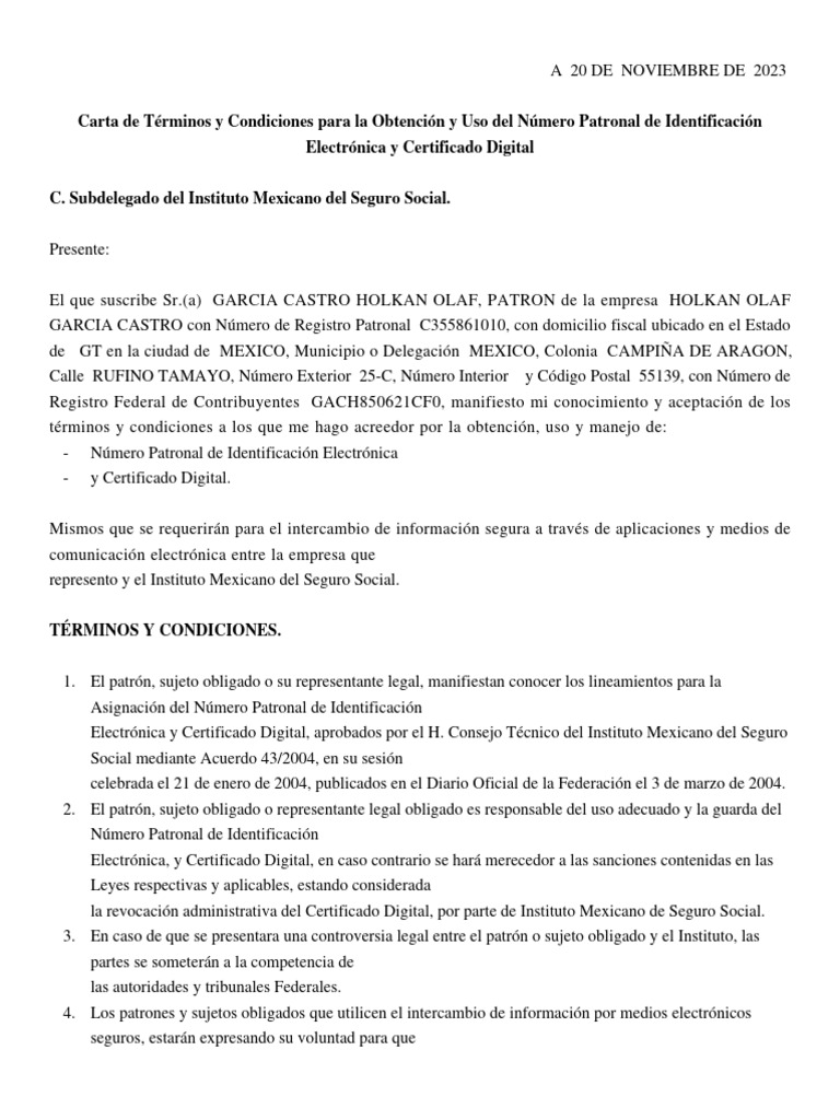 Carta de Términos y Condiciones para La Obtención y Uso Del Número Patronal de Identificación ...
