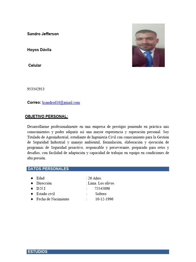 CV Actualizado Sandro Hoyos Dávila | PDF