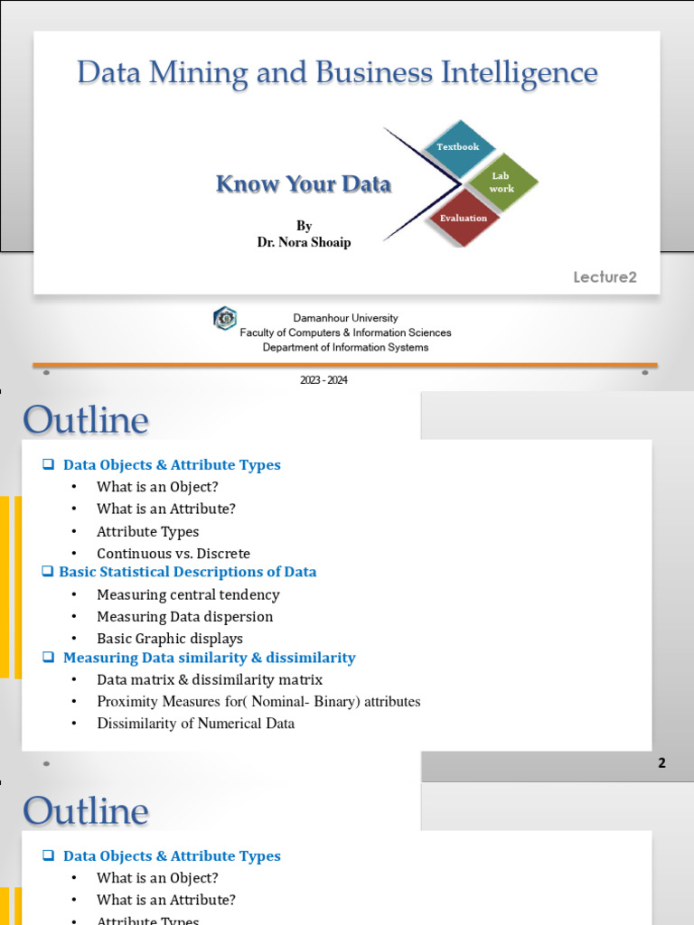 Data Mining | PDF