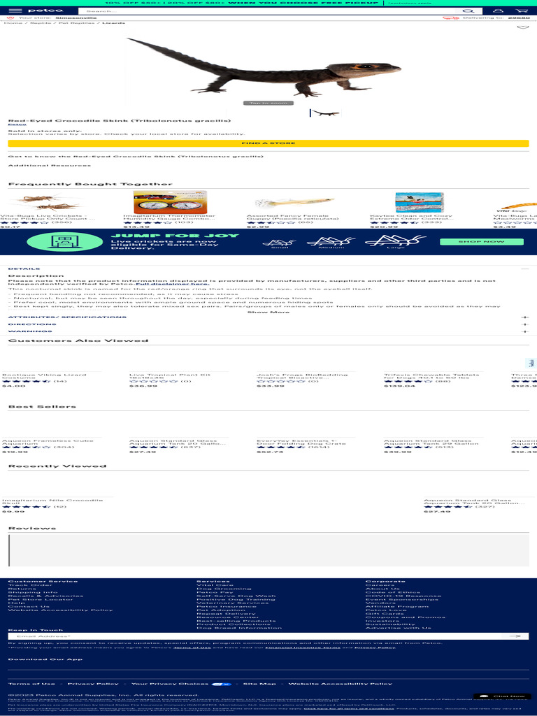 Red-Eyed Crocodile Skink (Tribolonotus Gracilis) Petco | PDF