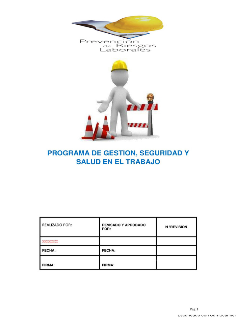 Programa de Gestion Seguridad y Salud en | PDF