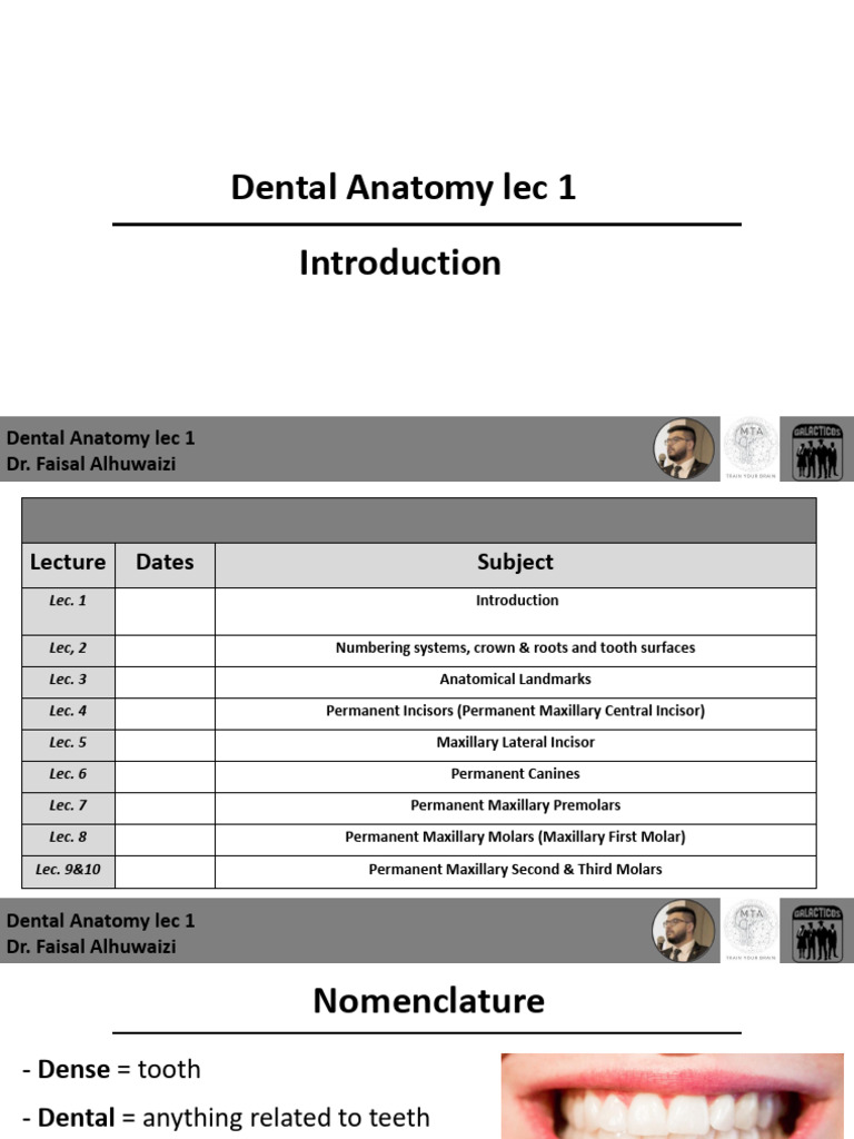 DA Lec.1 Introduction | PDF | Dental Anatomy | Tooth