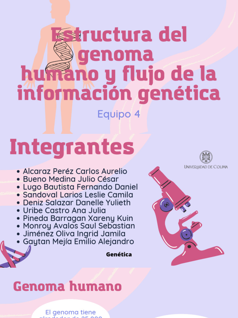 02 El Genoma Humano | PDF | Adn | Messenger Rna