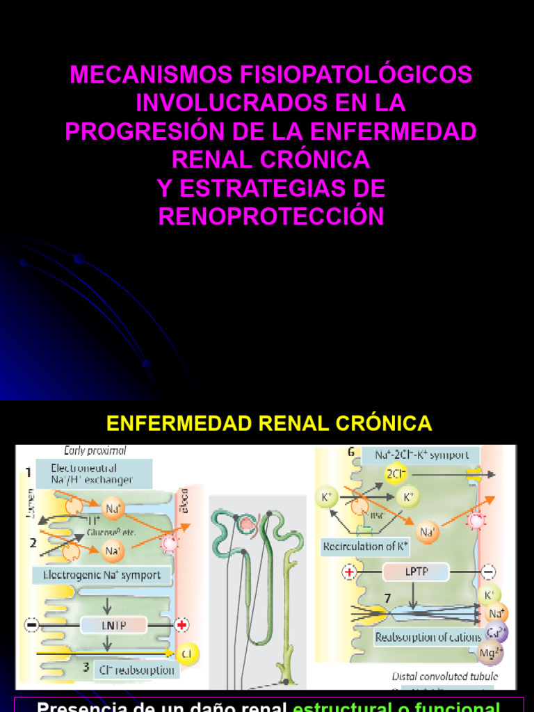 FISIOL MOD 3 Enfermedad Renal Crónica - Práctica | PDF | Enfermedad ...