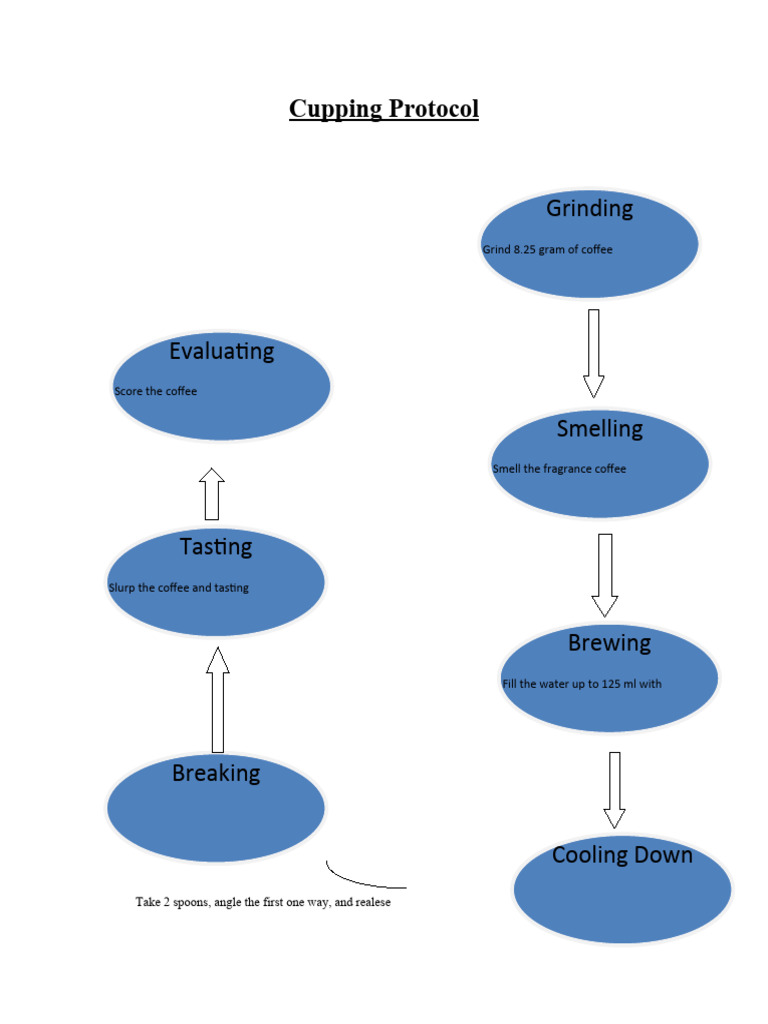 Cupping Protocol | PDF