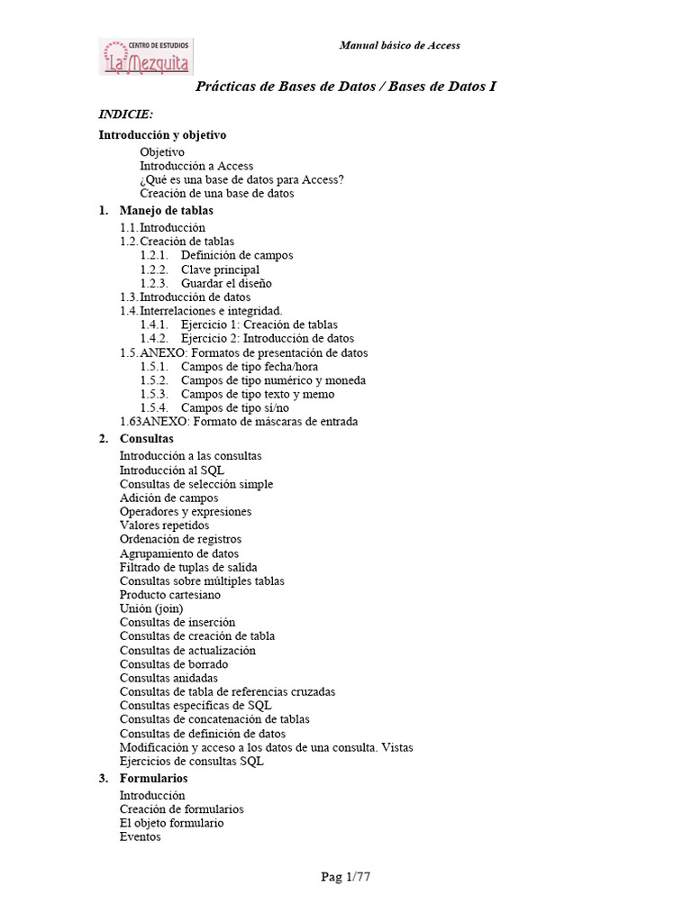 Manual Básico de Access: Guía SEO | PDF | Bases de datos | Archivo de computadora