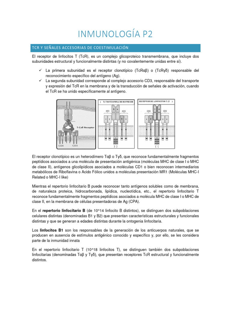 Resumen Inmunología P2 | PDF