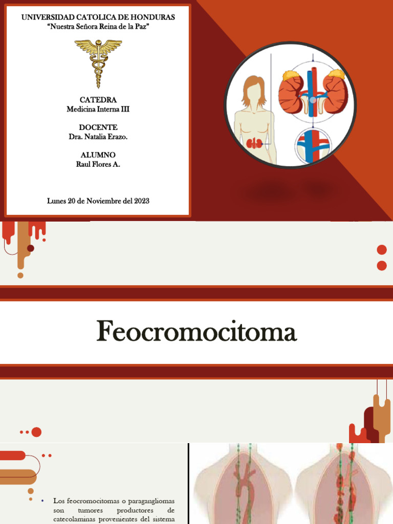 Feocromocitoma | PDF | Medicina CLINICA | Enfermedades y trastornos